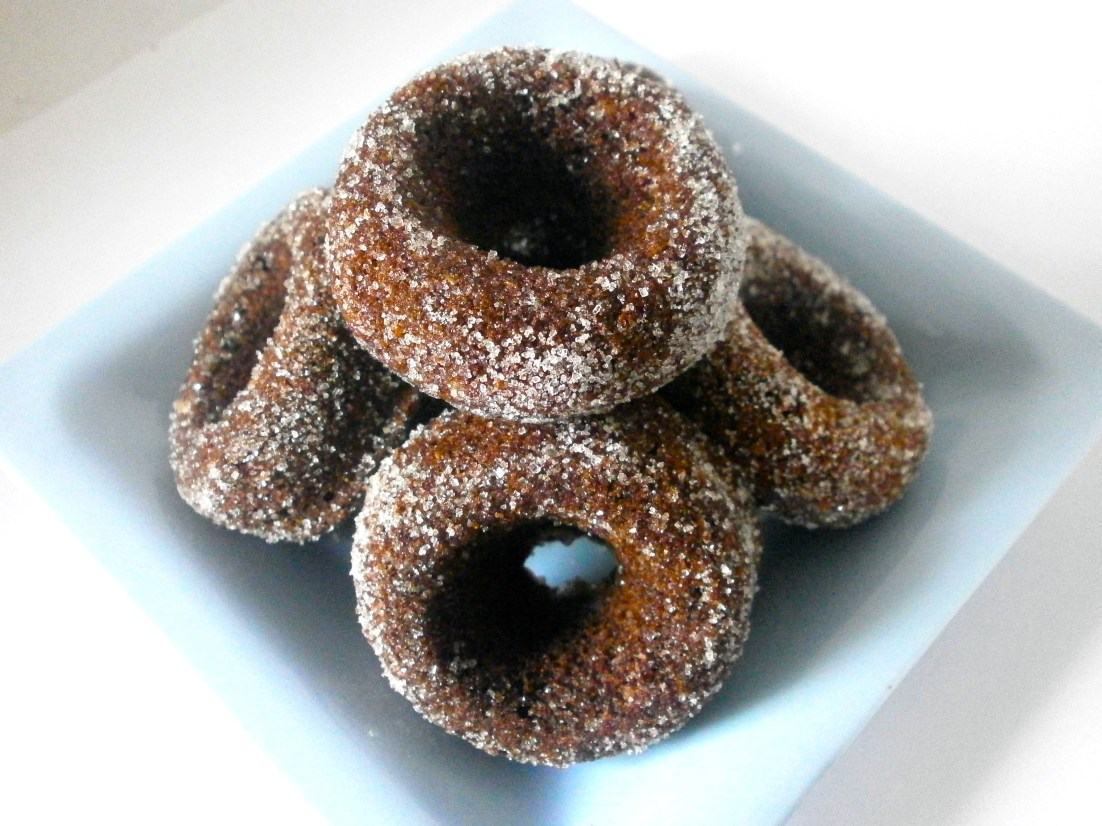 Double Chocolate Mini Donuts with Coconut – Swirls and Spice