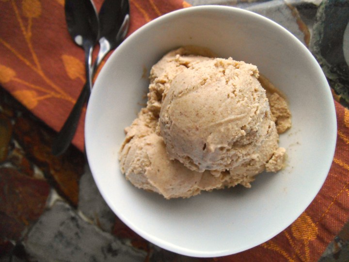 Pumpkin Spice Ice Cream {Dairy-Free, Paleo} – Swirls and Spice
